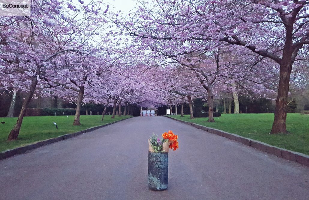 Where 90% of Copenhageners will go to enjoy flowers this weekend - The ...